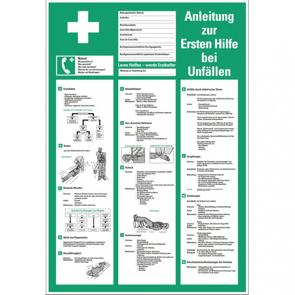 Dreifke Hinweisschild Aushang Anleitung zur Ersten Hilfe bei Unfällen, PVC, 395x575mm ...