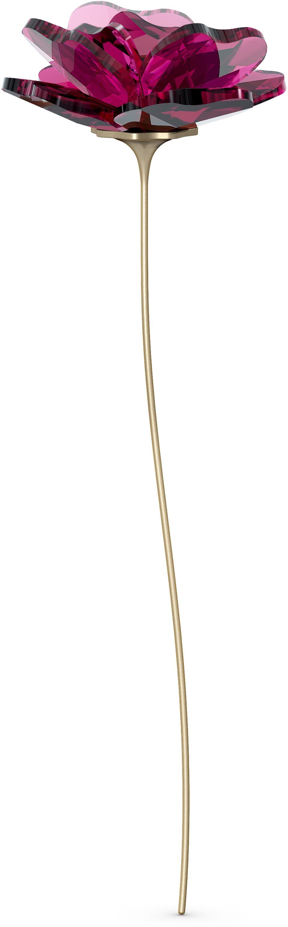 Swarovski Dekoration online kaufen » Swarovski Deko | OTTO