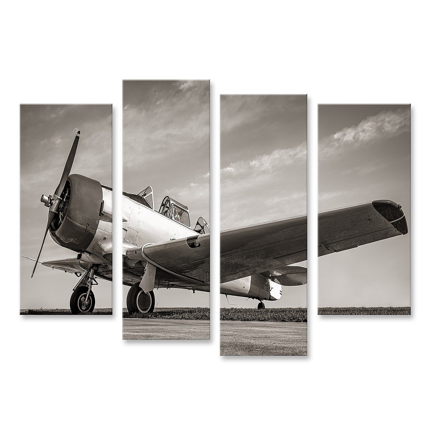 islandburner Leinwandbild Bild auf Leinwand Flugzeuge Historische Landung Wandbild Poster Kunstd