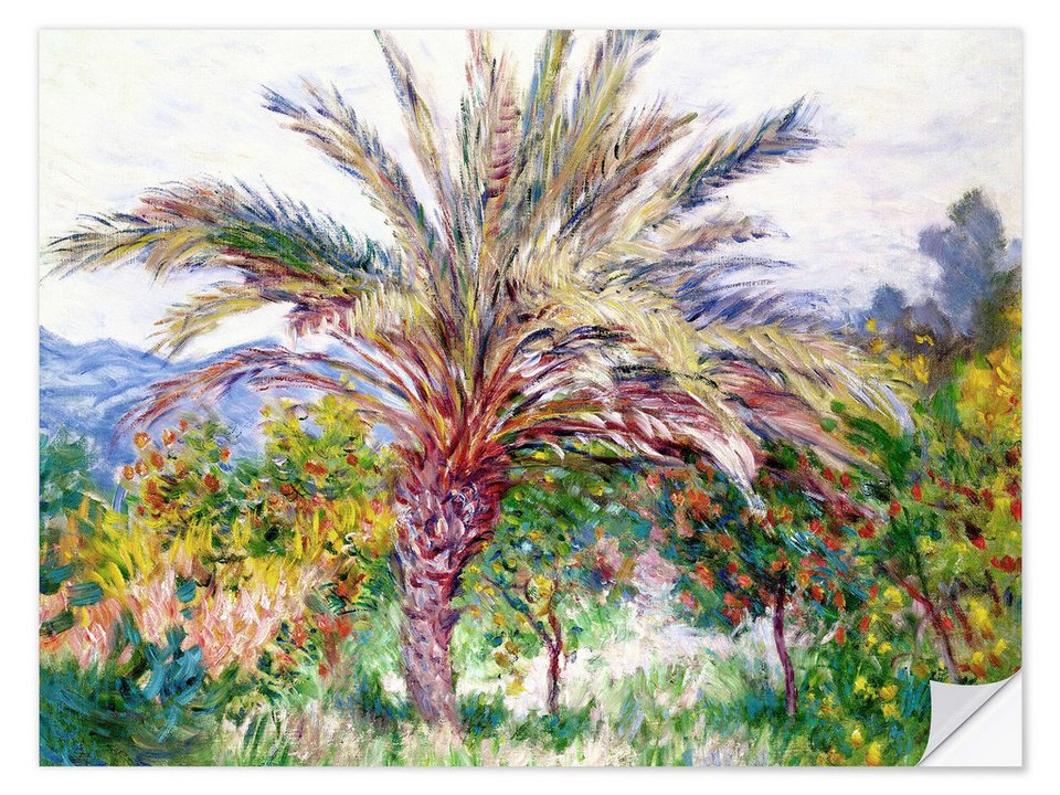 Posterlounge Wandfolie Claude Monet Palme Bei Bordighera Wohnzimmer