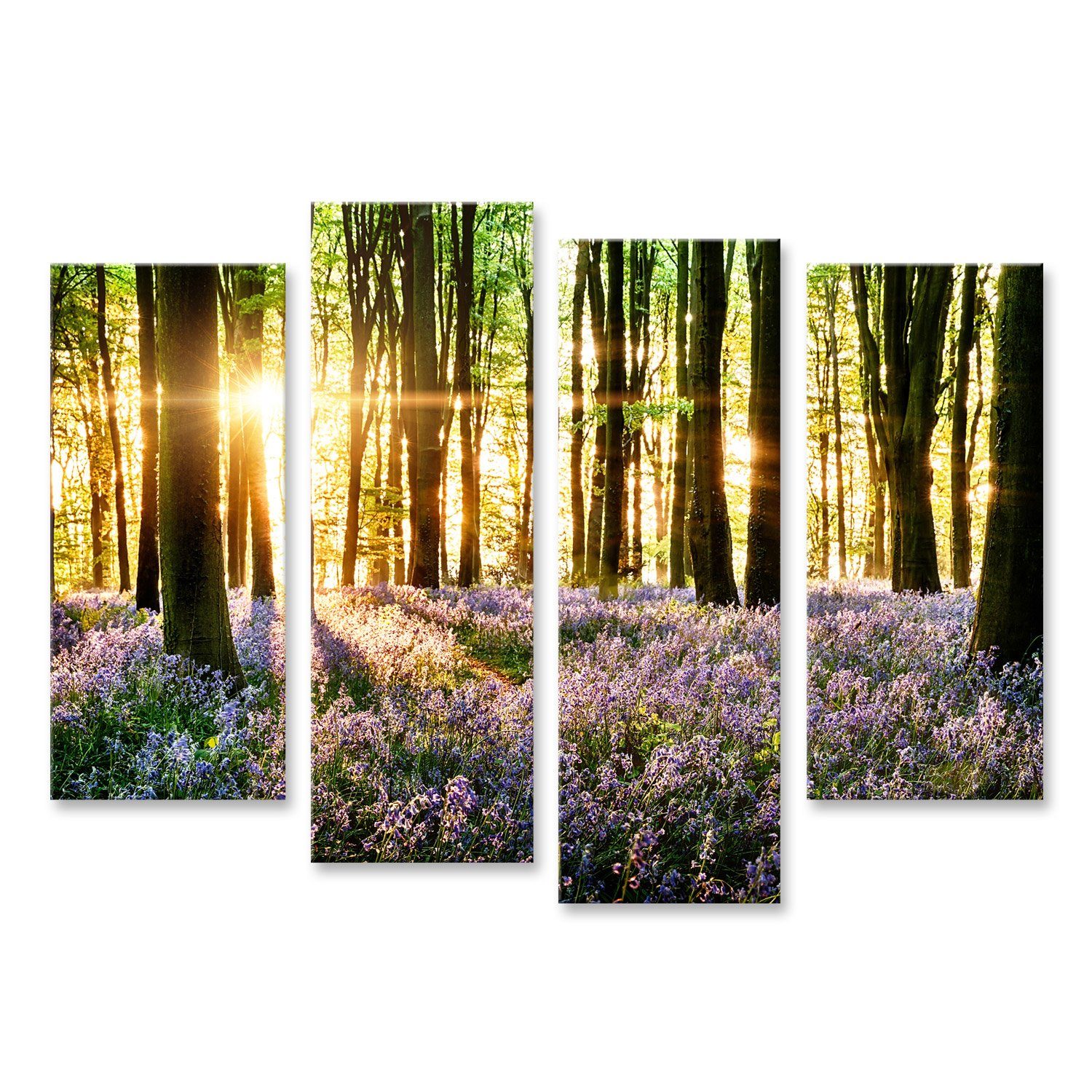 islandburner Leinwandbild »Bild auf Leinwand Glockenblumen Blühen Im Wald Mit Morgenlicht ...