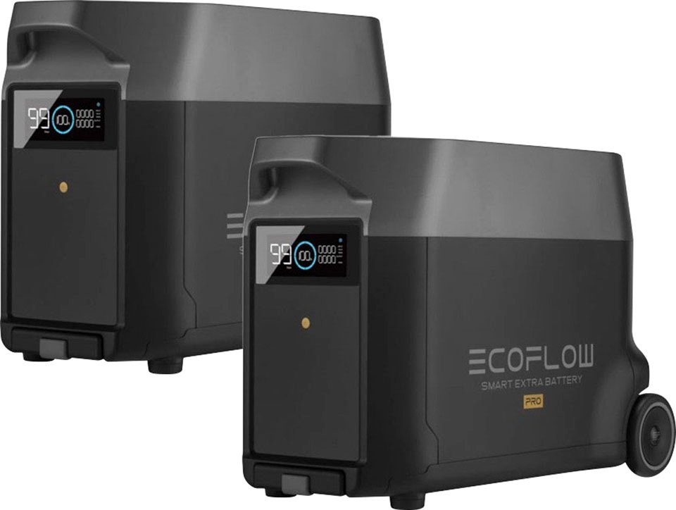 Ecoflow Solaranlage Delta Pro Powerstation mit 2 x Offgridtec 440W ...