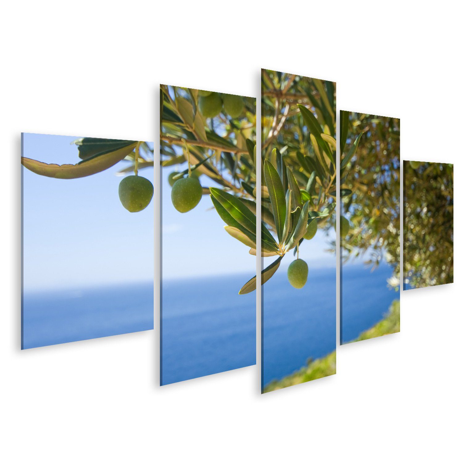 islandburner Leinwandbild Bild auf Leinwand Olivenbaum Meer Hintergrund Wandbild Poster Kunstdru