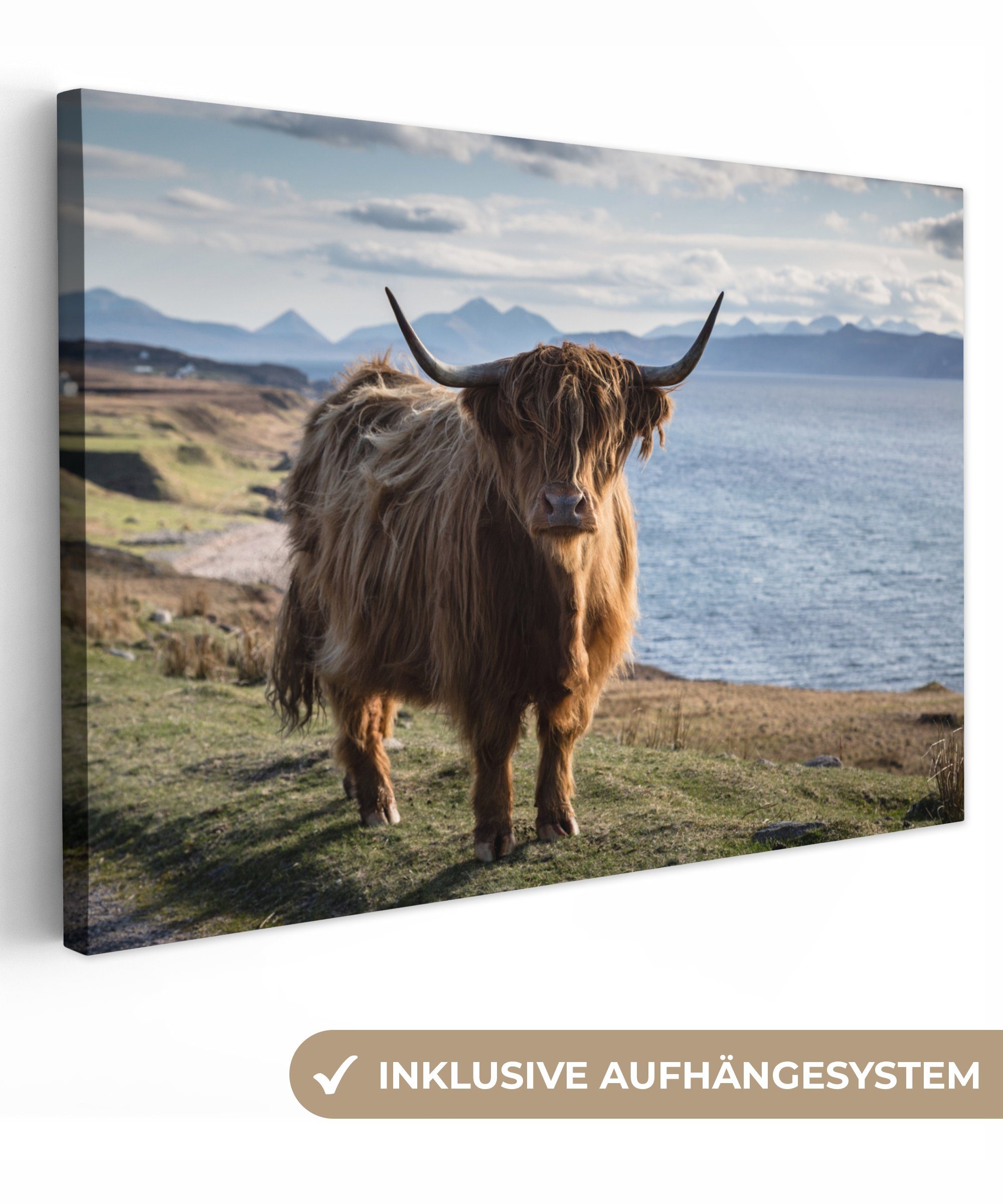 OneMillionCanvasses® Leinwandbild Schottischer Highlander - Licht - Wasser, (1 St), Wandbild ...