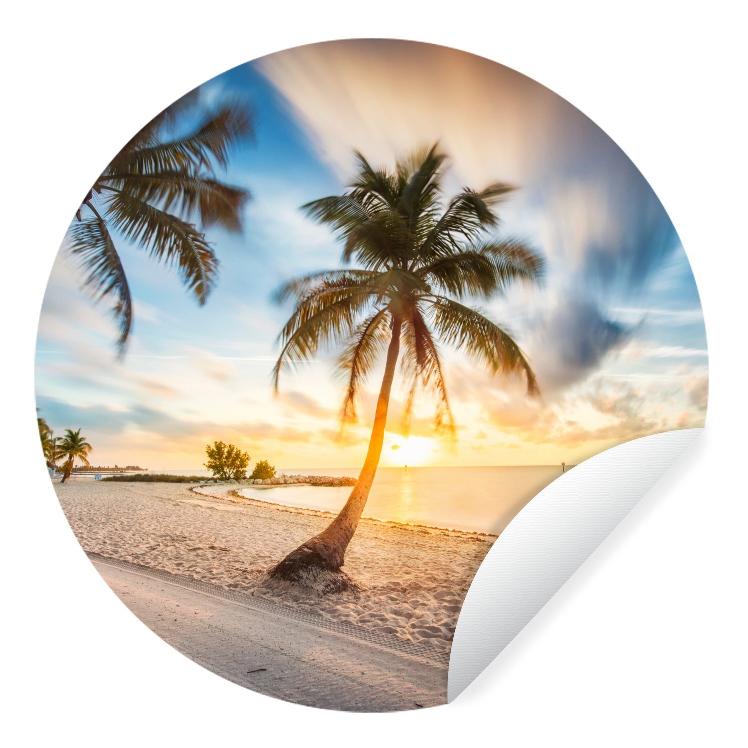 Muchowow Wandsticker Sonnenuntergang Strand Palme 1 St