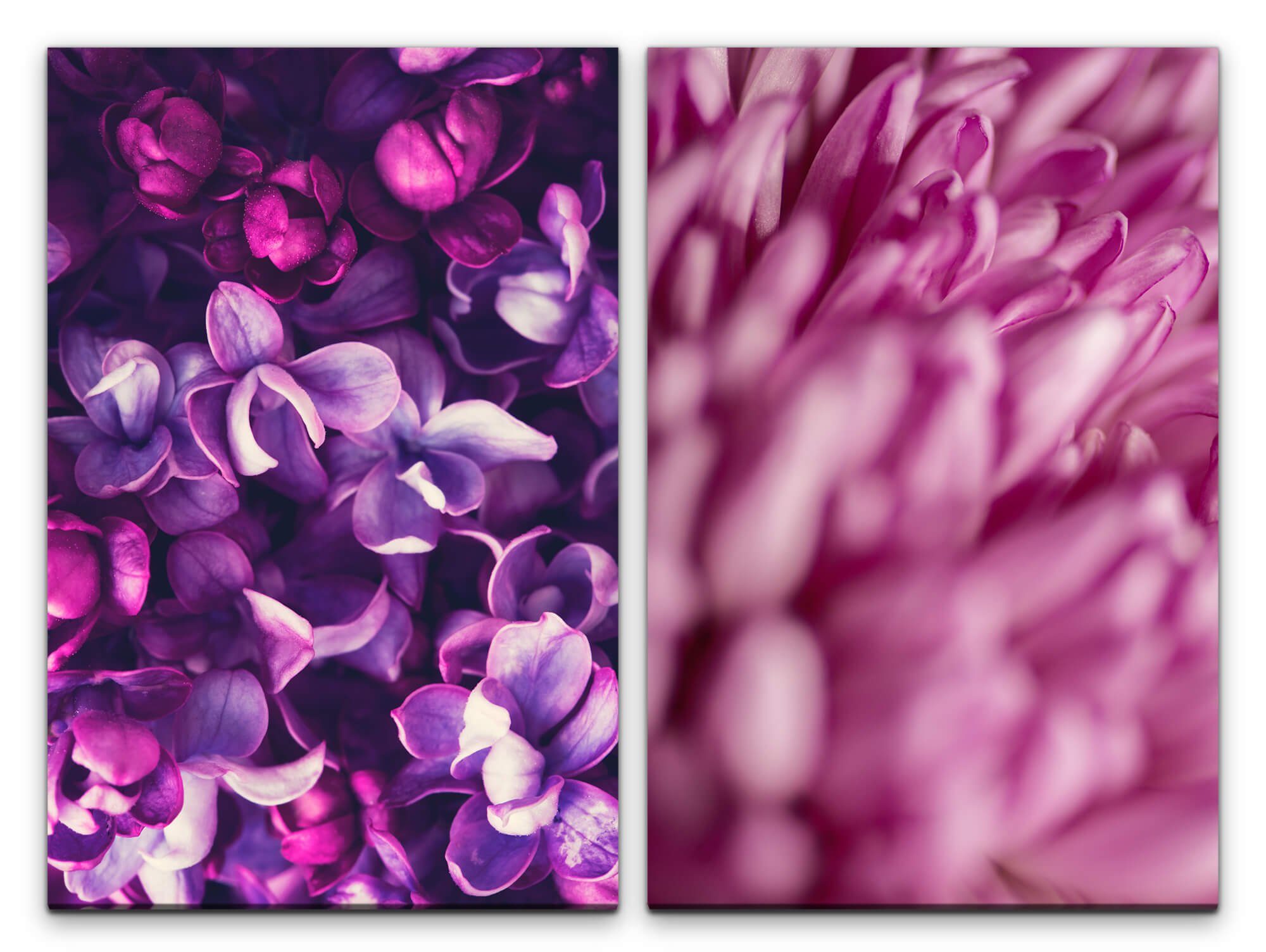 Sinus Art Leinwandbild 2 Bilder Je 60x90cm Blumen Blüten Duftend Sommer