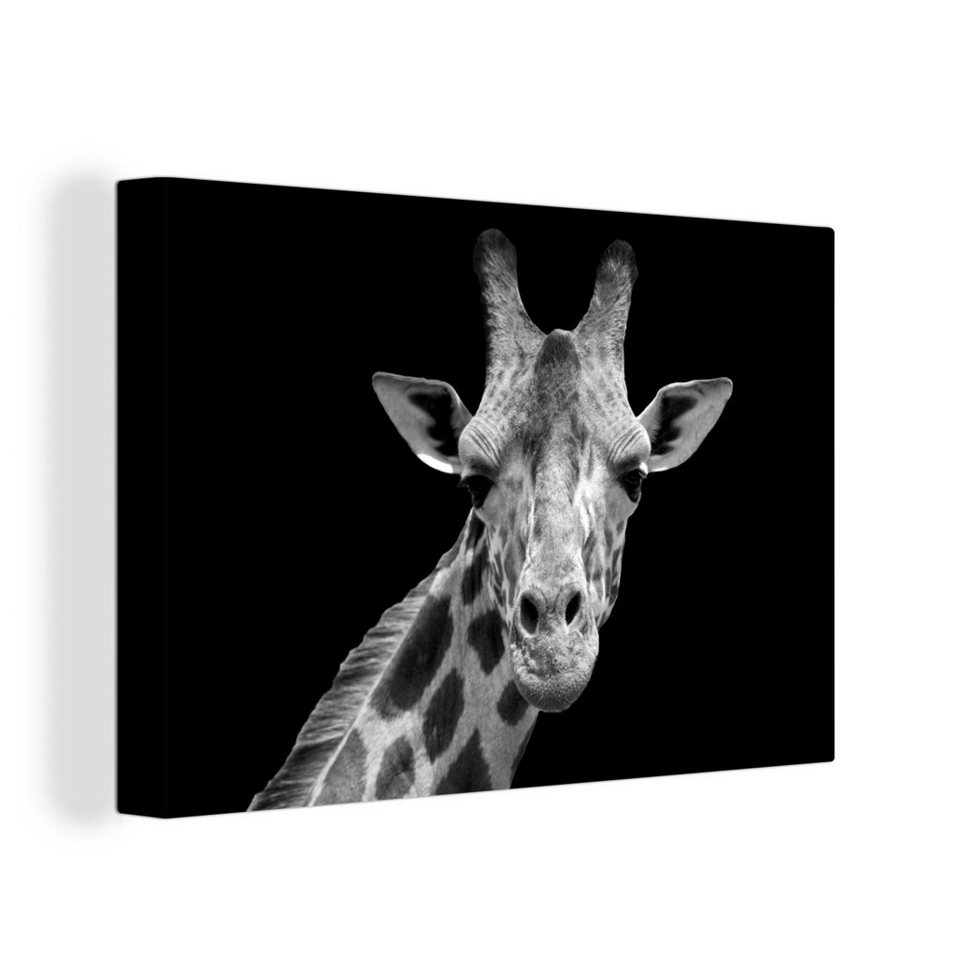 Onemillioncanvasses® Leinwandbild Giraffe Wildtiere Schwarz Weiß