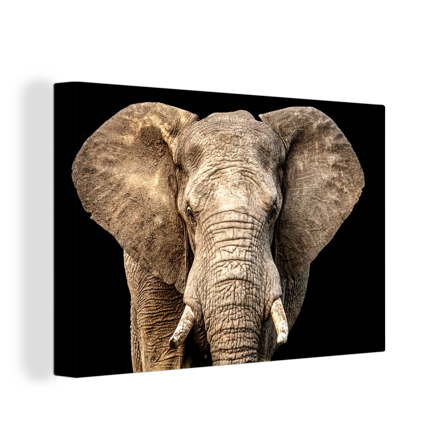 Onemillioncanvasses® Leinwandbild Elefant Porträt Schwarz 1 St