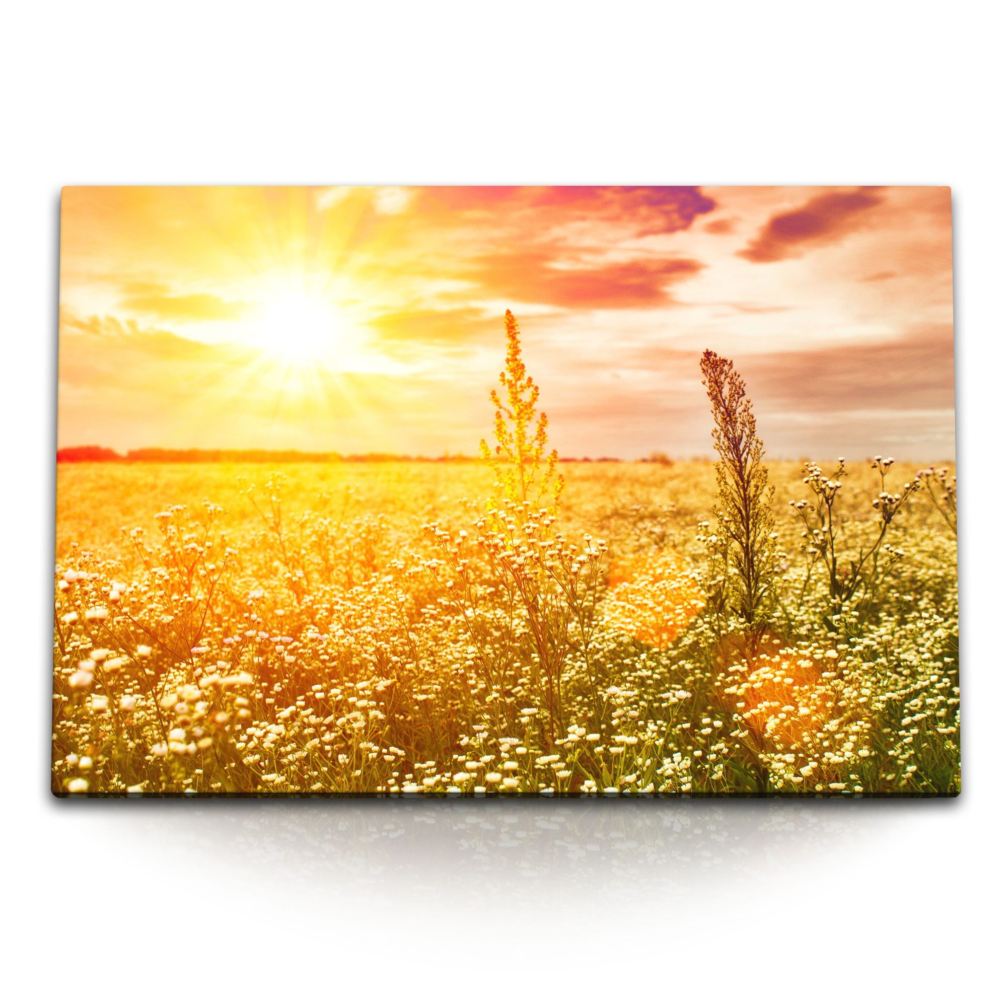Sinus Art Leinwandbild 120x80cm Wandbild auf Leinwand Sommerfeld Sonne Sonnenuntergang Feld N ...