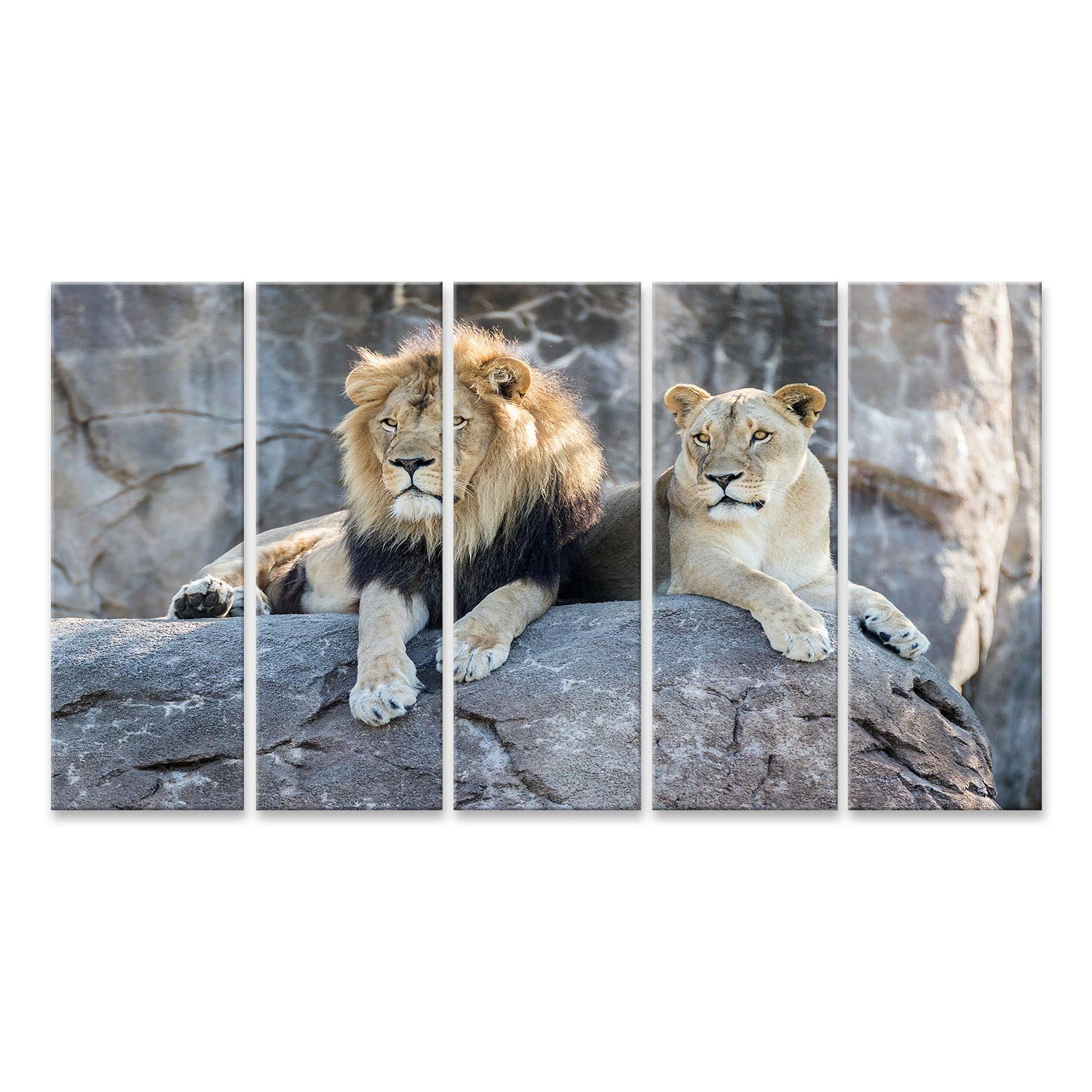 islandburner Leinwandbild Bild auf Leinwand Männliche Und Weibliche Löwen Sitzt Auf Einem Felsen