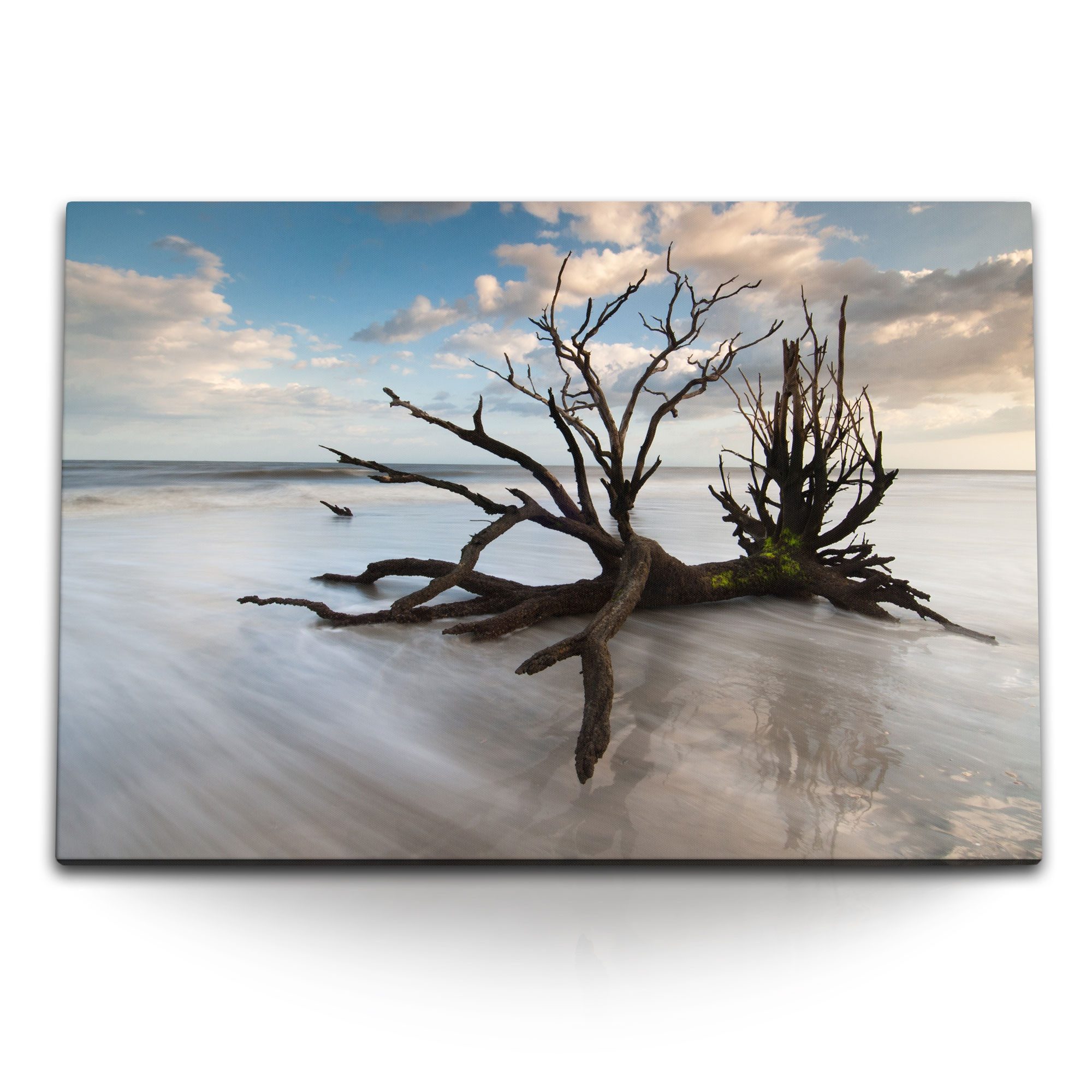 Sinus Art Leinwandbild 120x80cm Wandbild auf Leinwand Treibholz am Strand Meer Horizont Sands ...