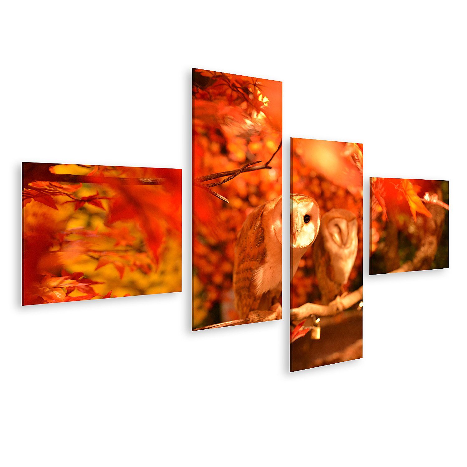 islandburner Leinwandbild Bild auf Leinwand Eule Symbol Weisheit Orange Rote Blätter Japan ...