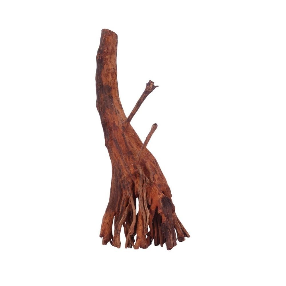 Aquaone Aquarium M Jungle Wood Wurzel Nr.4443 Holz Deko Aquascaping