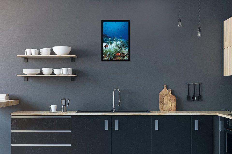 Muchowow Poster Unterwasserwelt Mit Clownfischen 1 St Gerahmtes