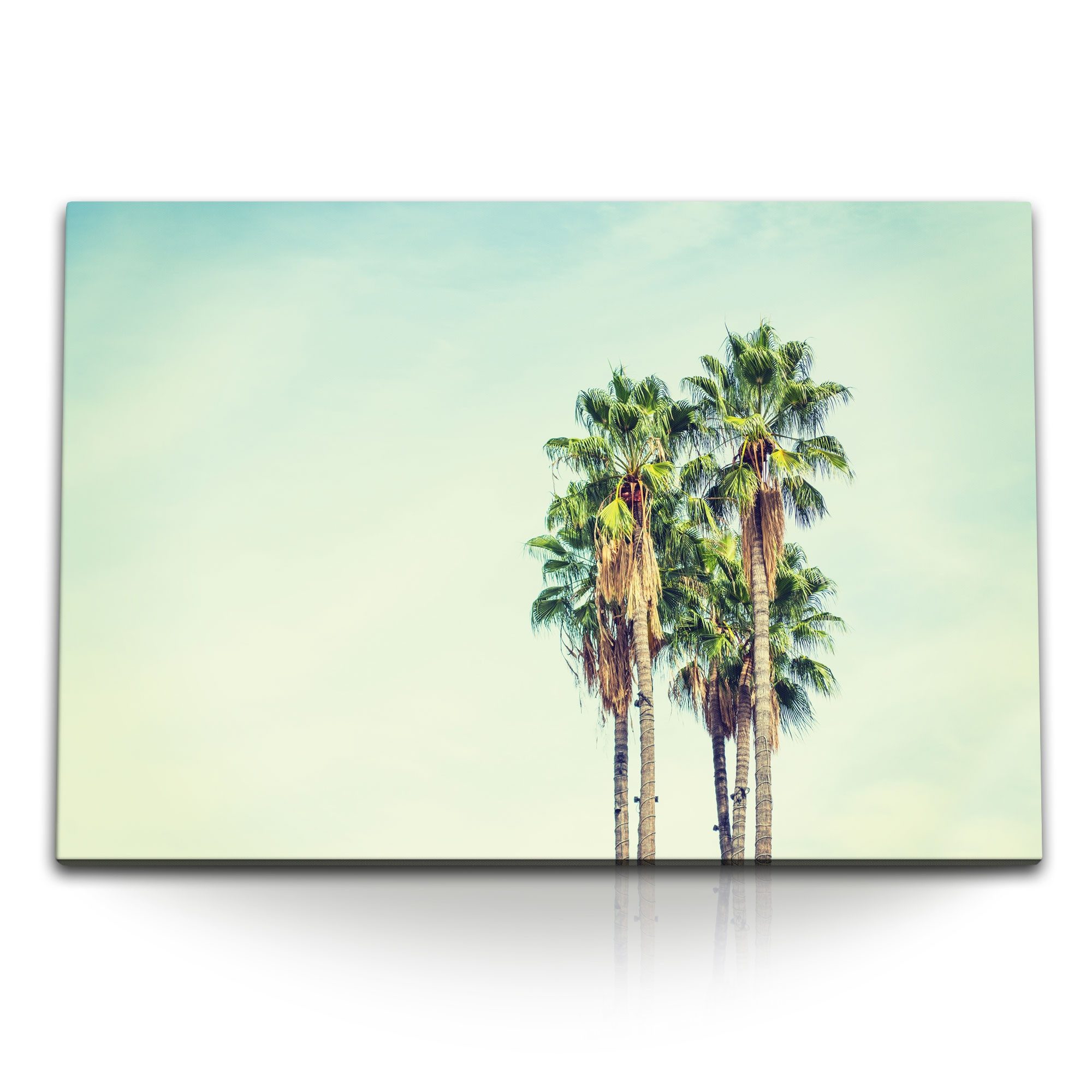 Sinus Art Leinwandbild 120x80cm Wandbild auf Leinwand Palmen Kokospalme Süden Sommer Sonnensc ...
