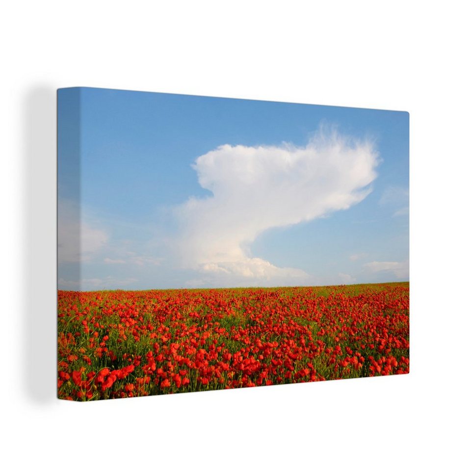 Onemillioncanvasses® Leinwandbild Tausende Von Roten Mohnblumen In