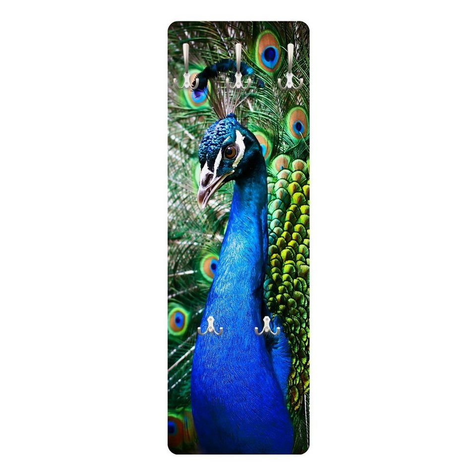 Bilderdepot24 Garderobenpaneel Blau Tiere Edler Pfau Design