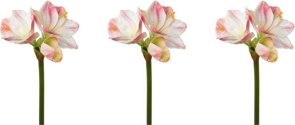 Winterliche Kunstpflanze Weihnachtsdeko Amaryllis Creativ Green Höhe