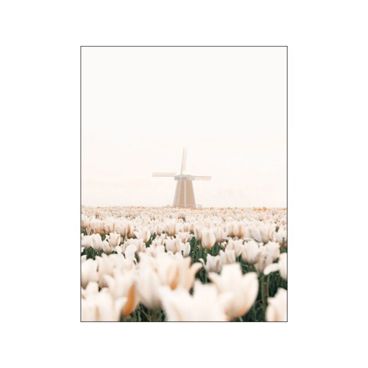 TPFLiving Kunstdruck (OHNE RAHMEN) Poster - Leinwand - Wandbild, Landschaften und Natur - 12 ...