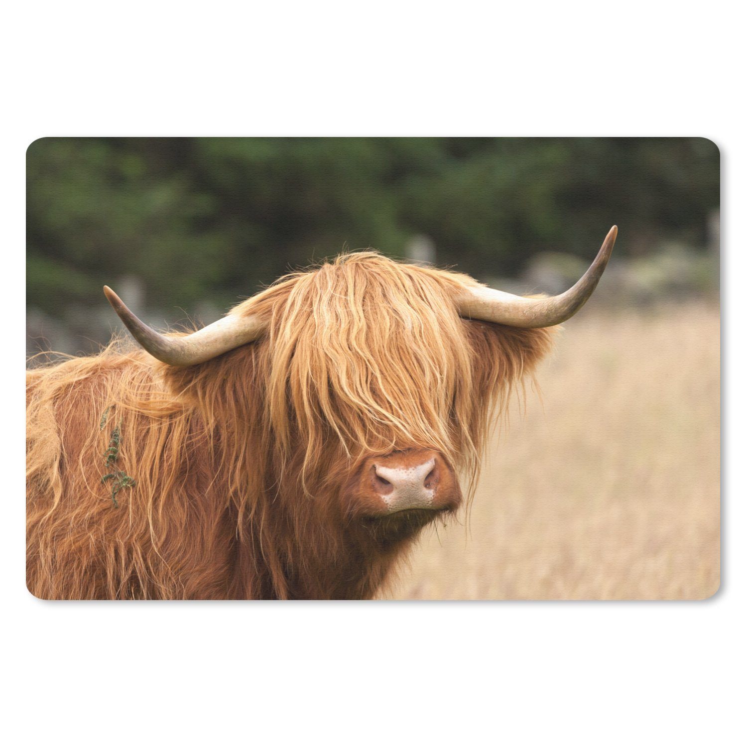 Muchowow Mauspad 1 St Mouse Pad Gaming Deko Pc Zubehör 27x18 Cm