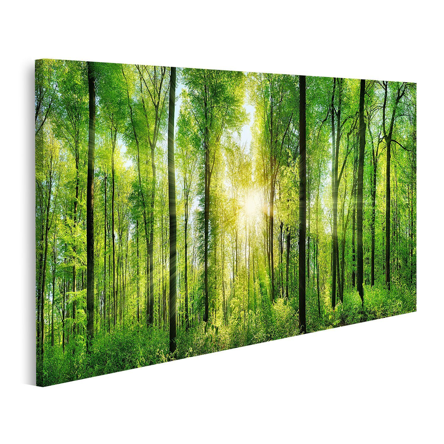 islandburner Leinwandbild »Bild auf Leinwand Wald Panorama Strahlen Sonnenlicht Scenic Fresh ...