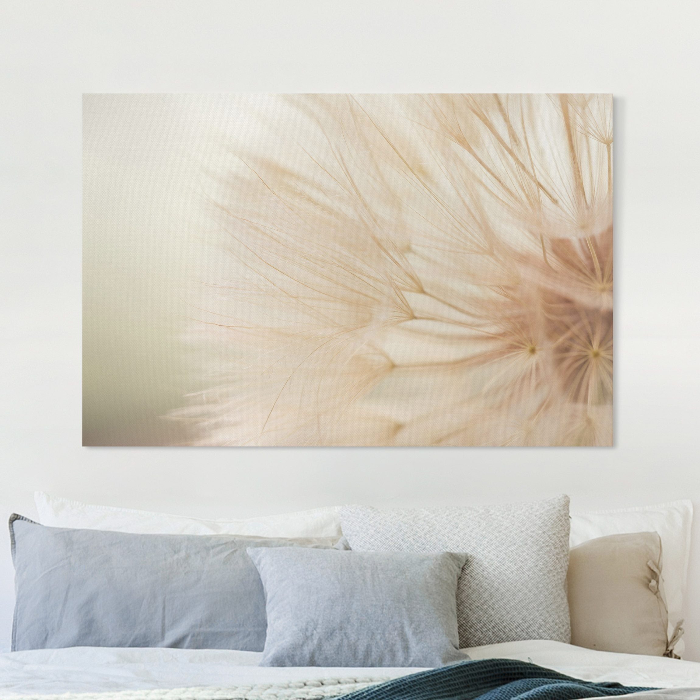Bilderdepot24 Leinwandbild Blumen Natur Modern Pusteblume creme beige Bild auf Leinwand Groß XXL ...