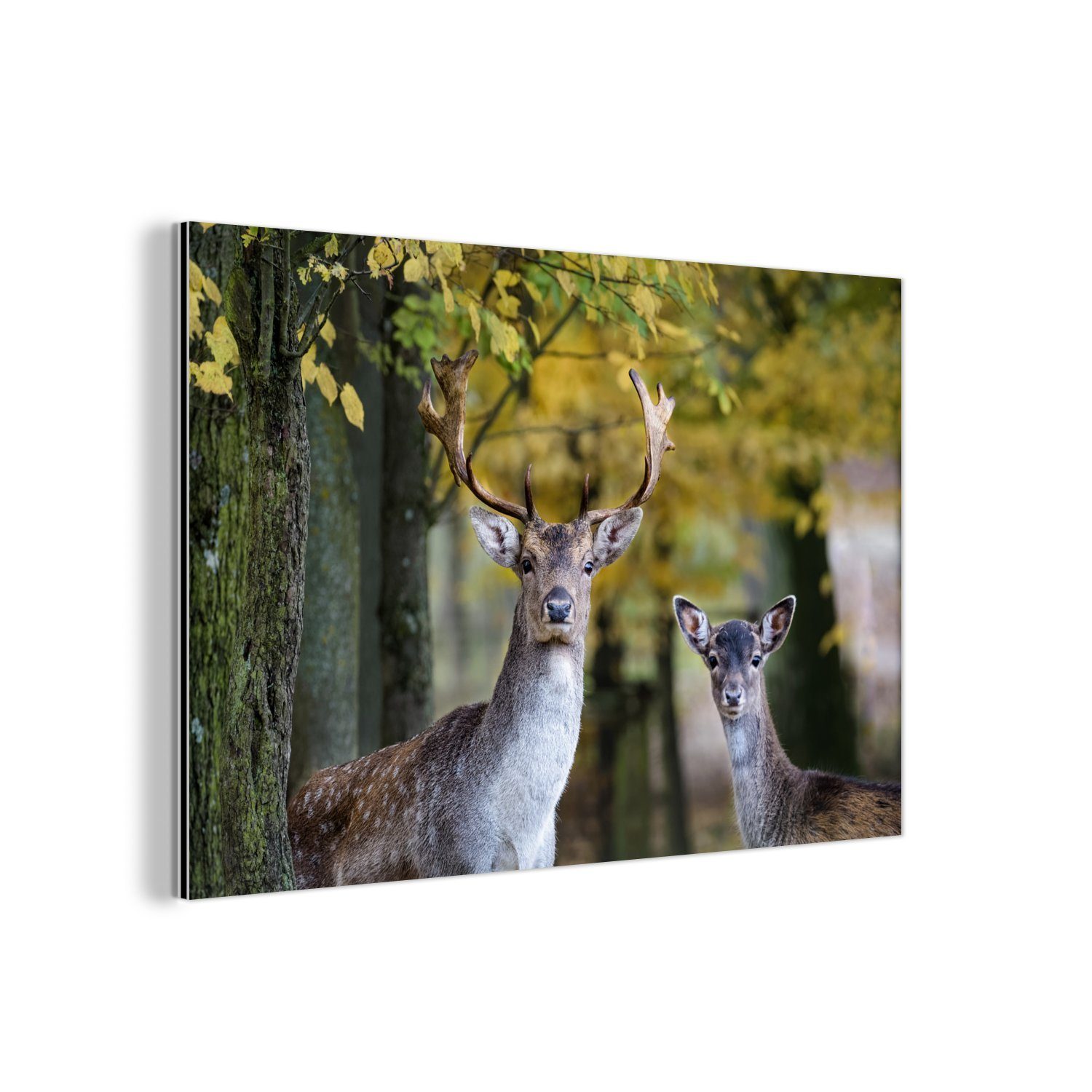 Muchowow Metallbild Hirsche Tiere Baum Packung 1 St
