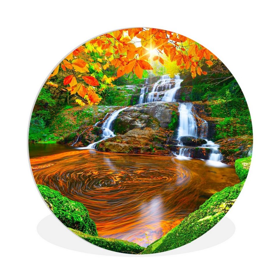 Muchowow Gemälde Natur Wasserfall Steine Moos Blätter Grün