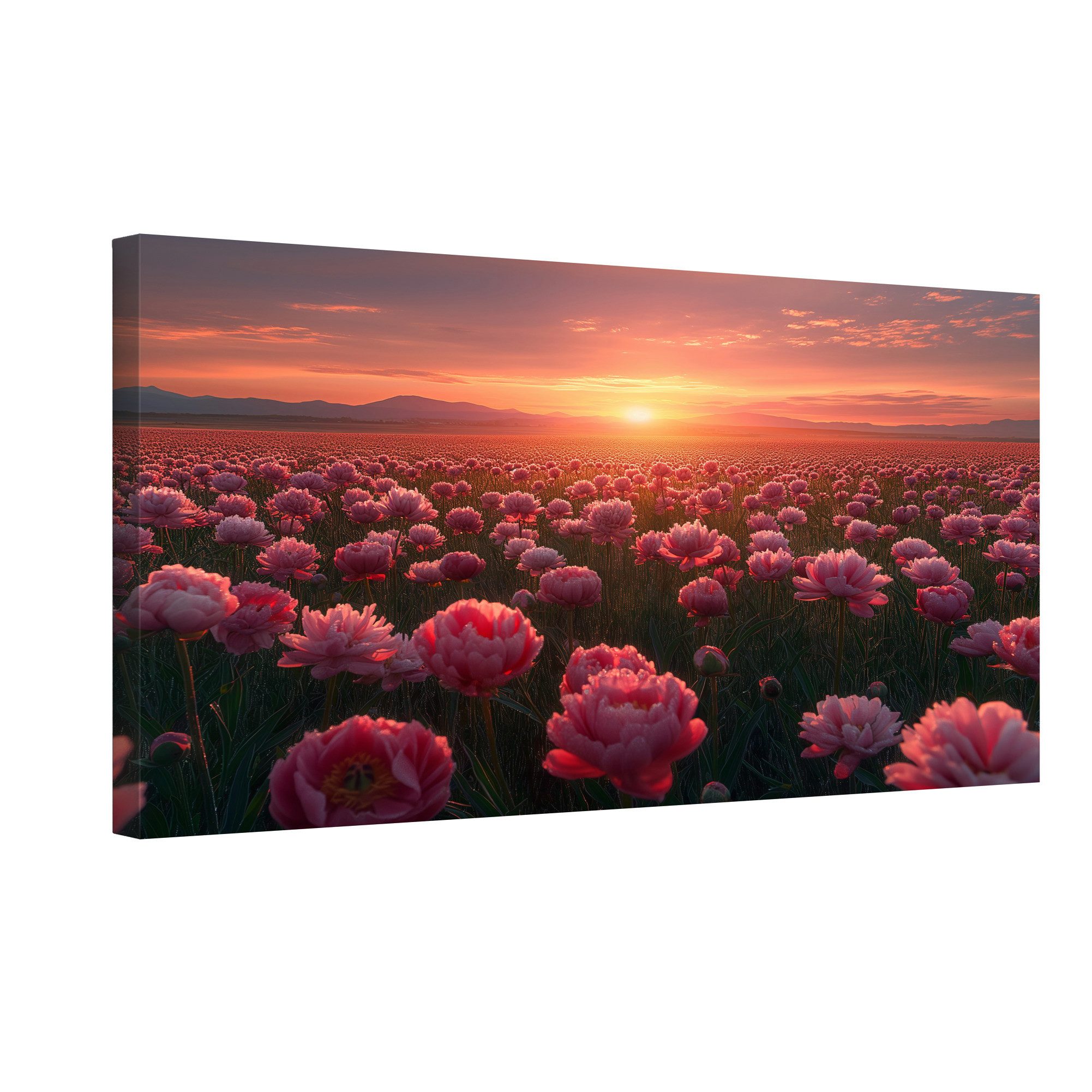 Altdecor Leinwandbild Blume Wiese Feld Sonnenuntergang Pfingstrosen