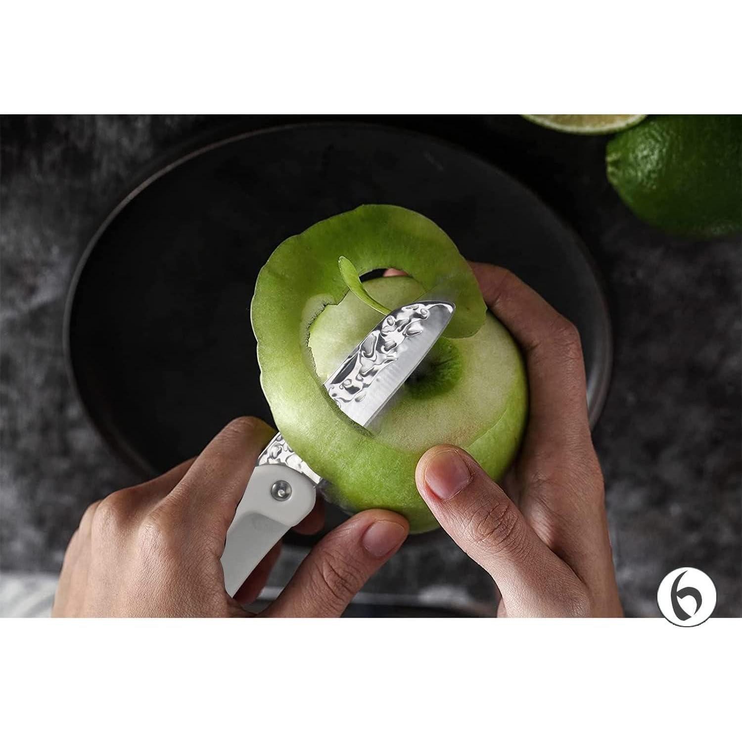 LuxusKollektion Küchenstuhl Küchenutensilien 6teilig Edelstahl Camper ...