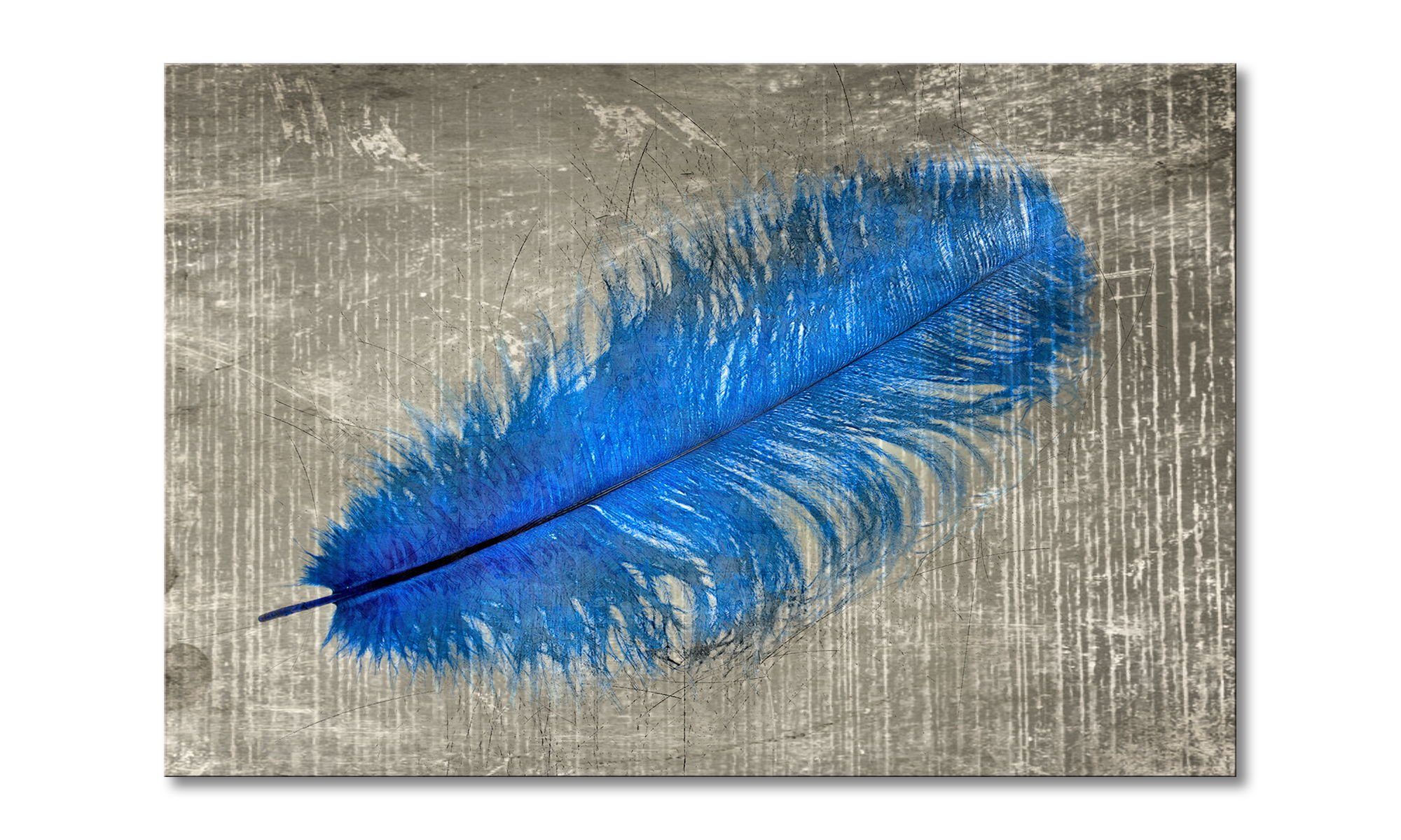 WandbilderXXL Leinwandbild Feather In Blue, Ferdern (1 St), Wandbild,in 6 Größen erhältlich