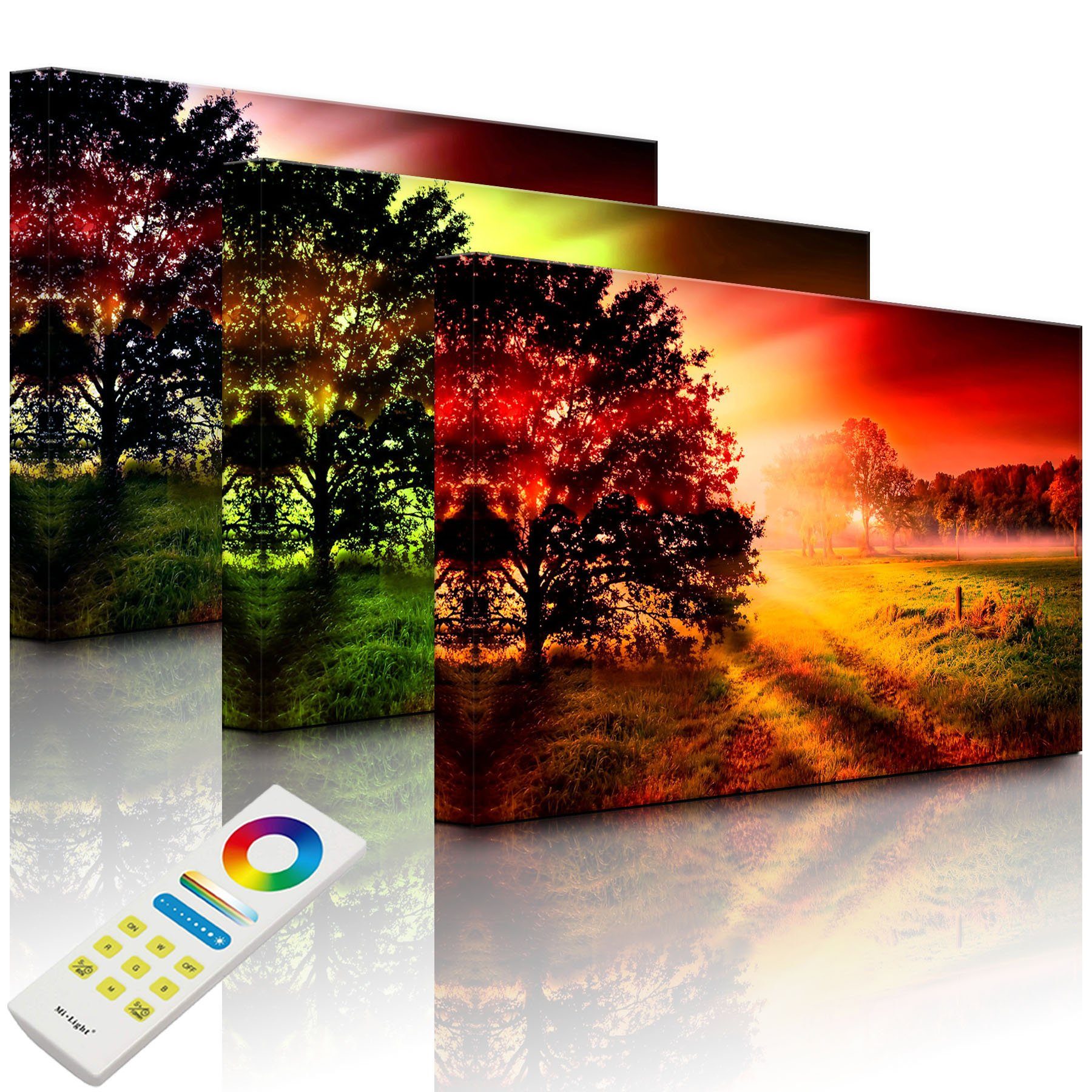 LED-Bilder online kaufen | OTTO