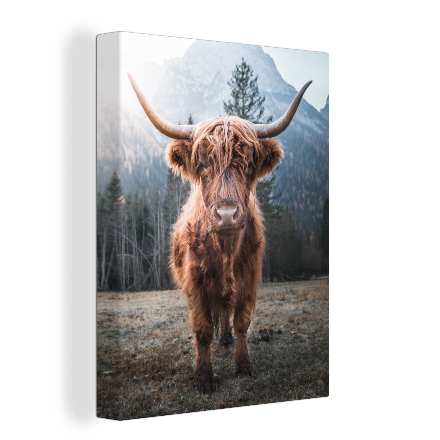 Onemillioncanvasses® Leinwandbild Schottisches Hochlandrind Kuh