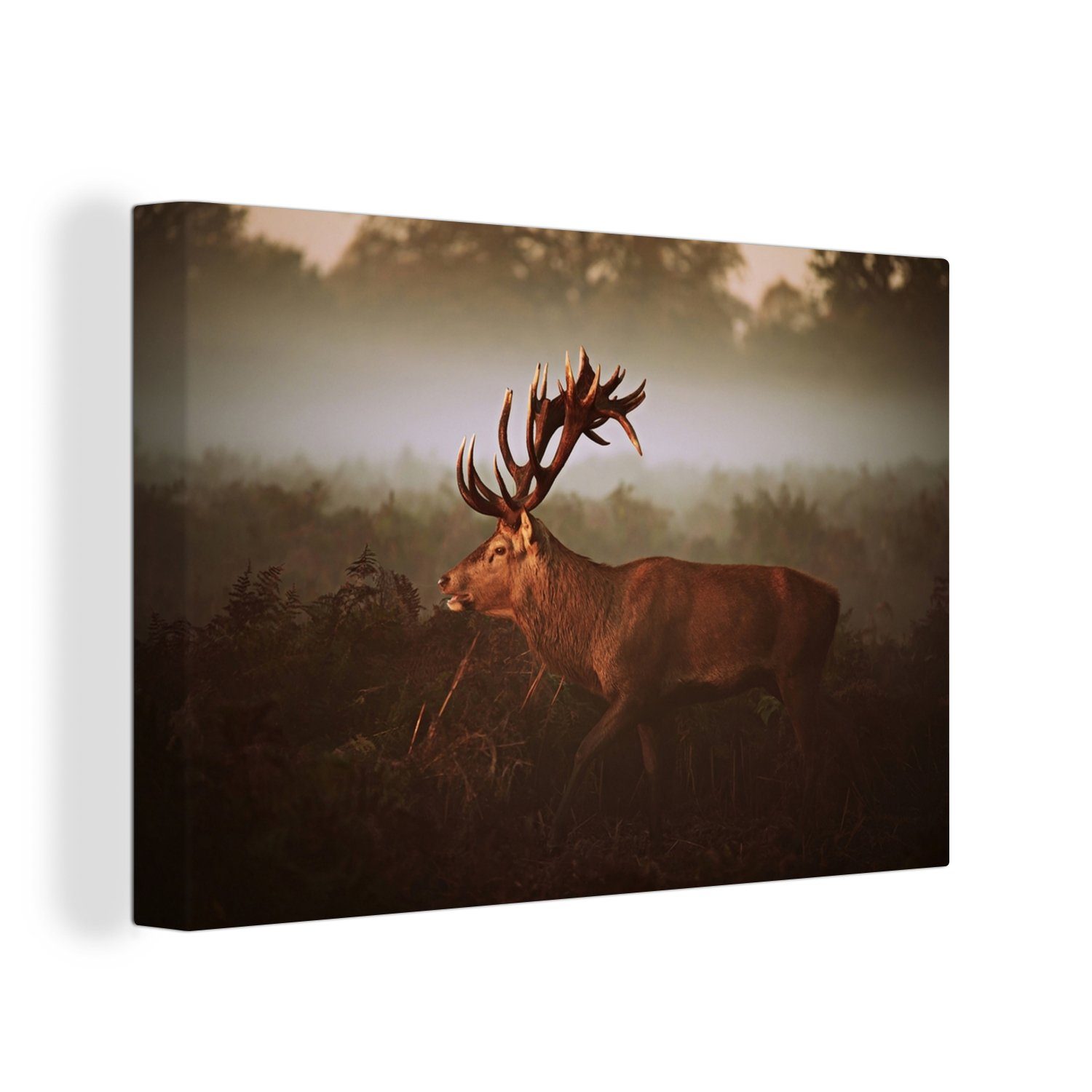 Onemillioncanvasses® Leinwandbild Hirsche Wald Nebel 1 St
