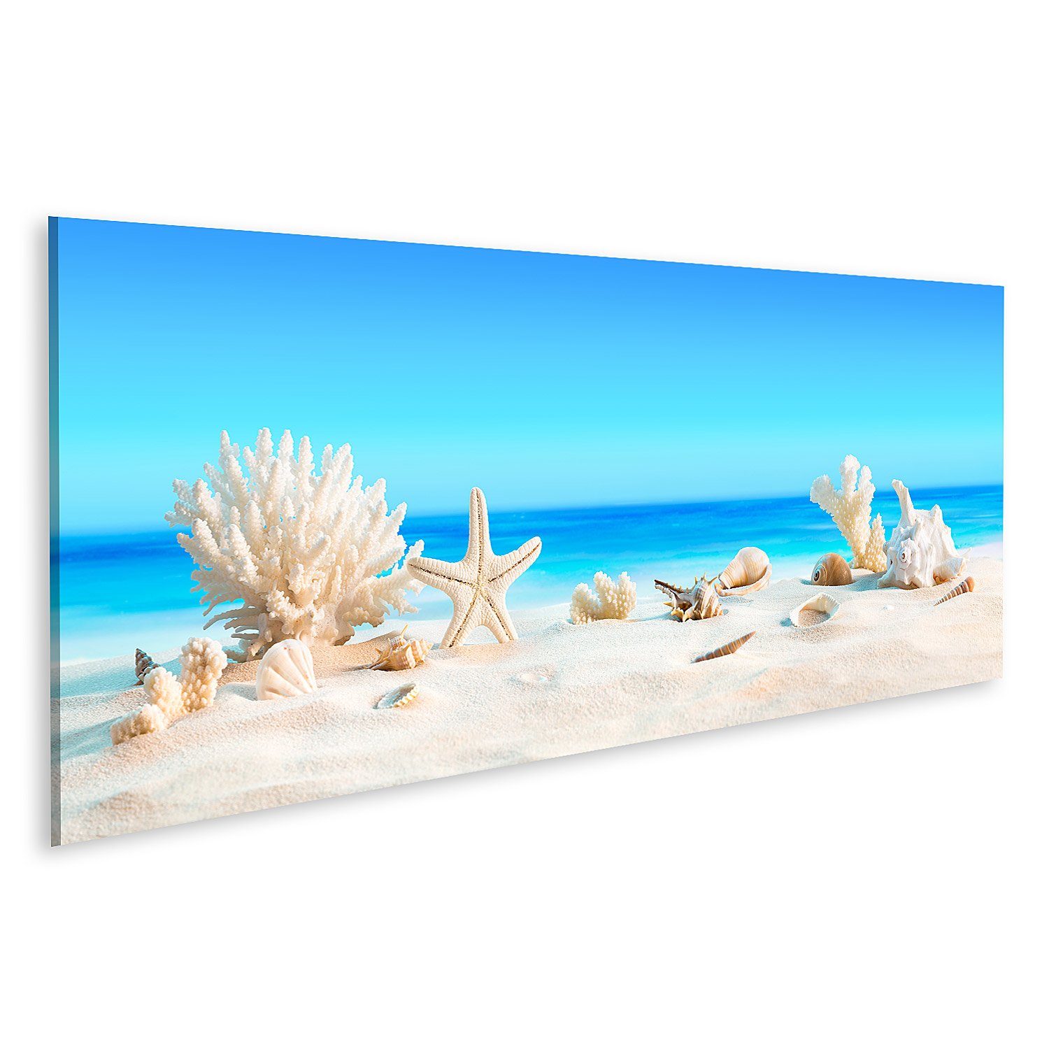 islandburner Leinwandbild Bild auf Leinwand Landschaft Mit Muscheln Am Tropischen Strand ...