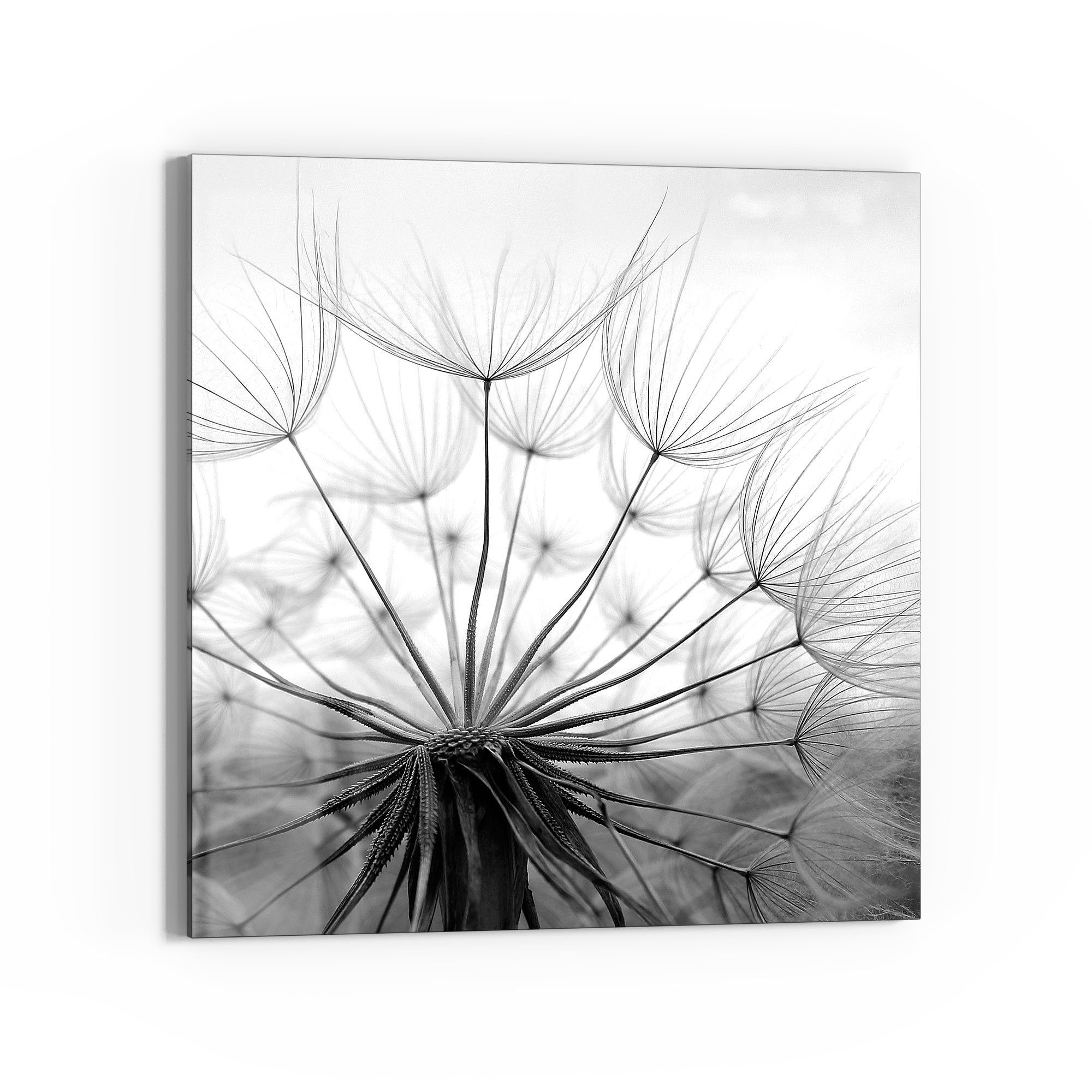 Pusteblume Acrylbilder online kaufen | OTTO