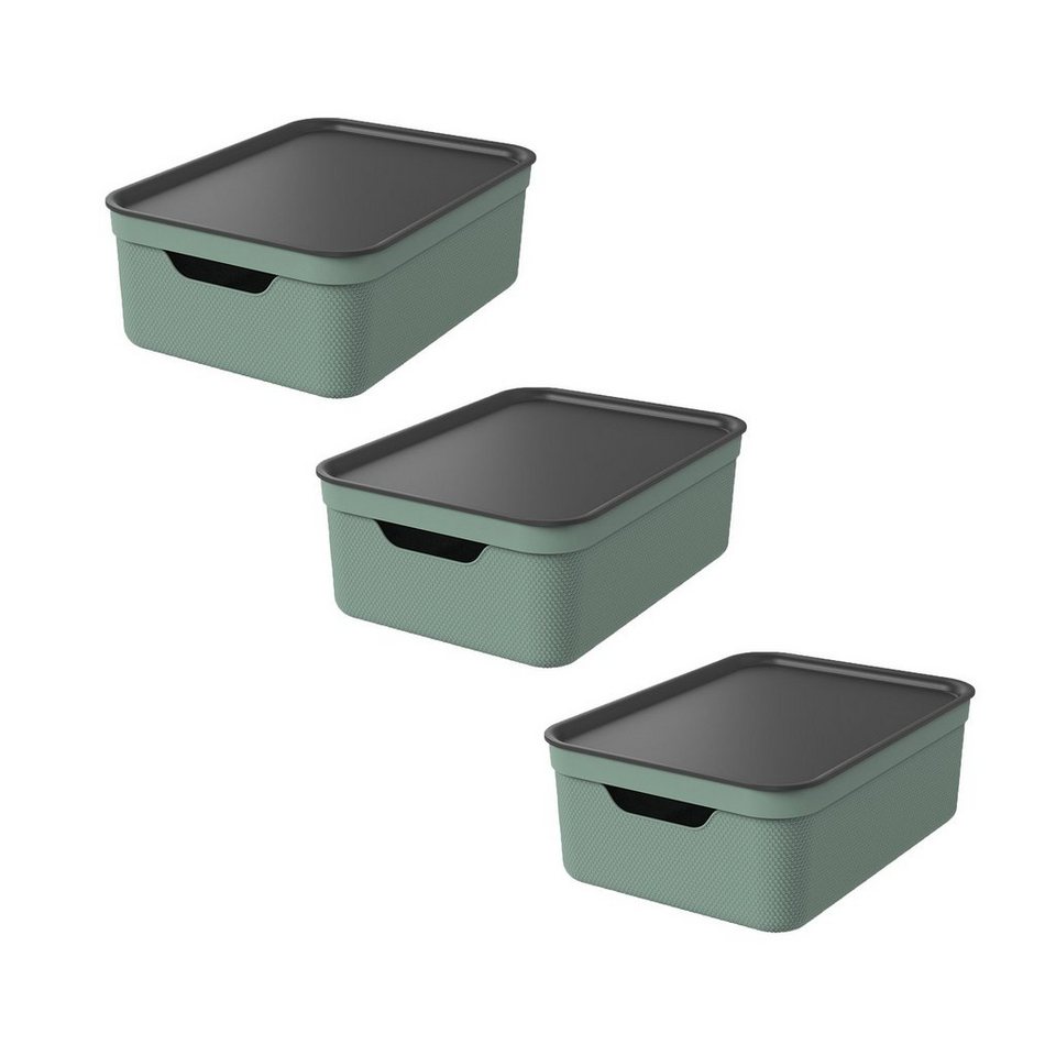 Rotho Aufbewahrungsbox 3er Set Aufbewahrungsbox Mit Deckel 10l Jive