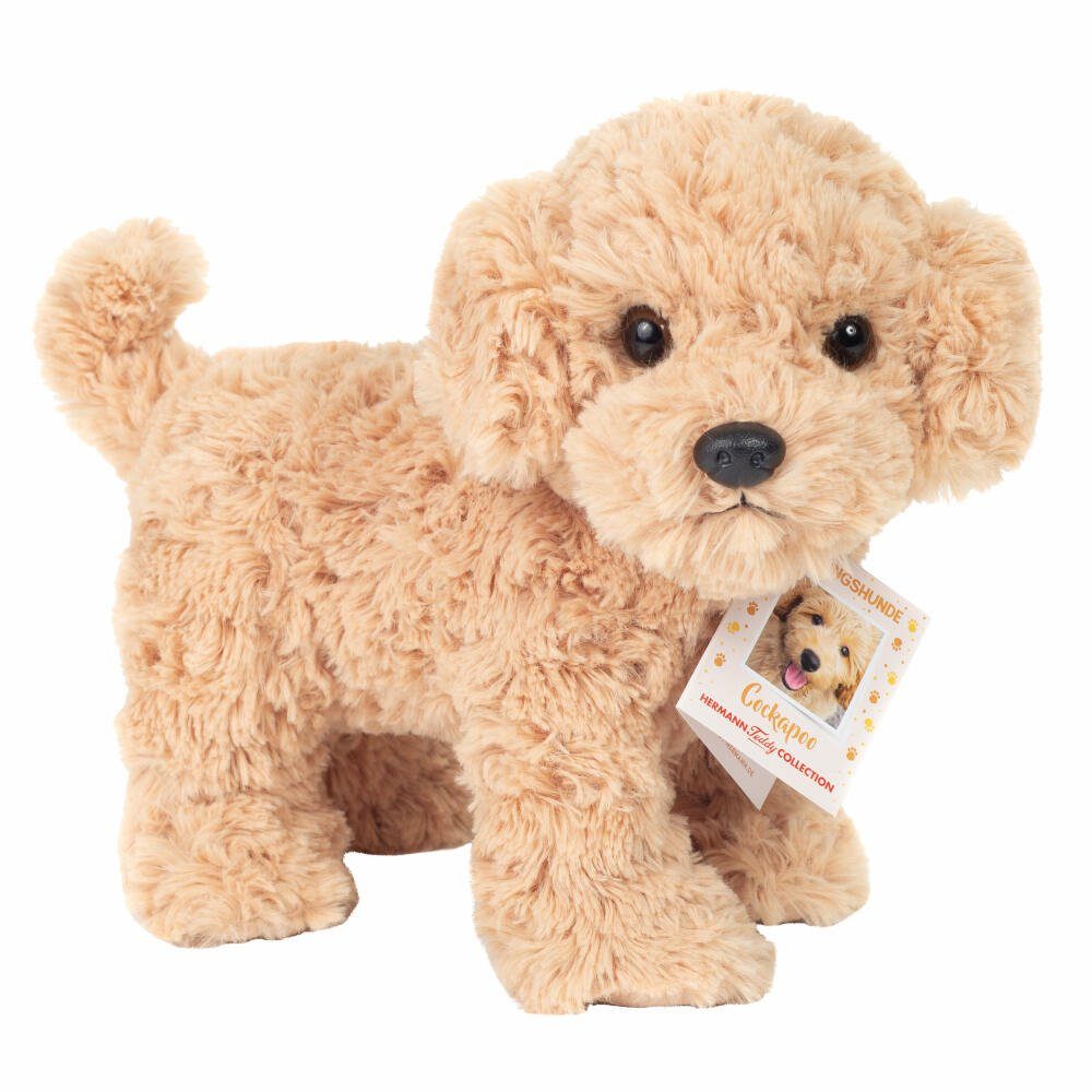 Teddy Hermann® Kuscheltier Cockapoo stehend, 23 cm, Hund, GEPRÜFTE ...