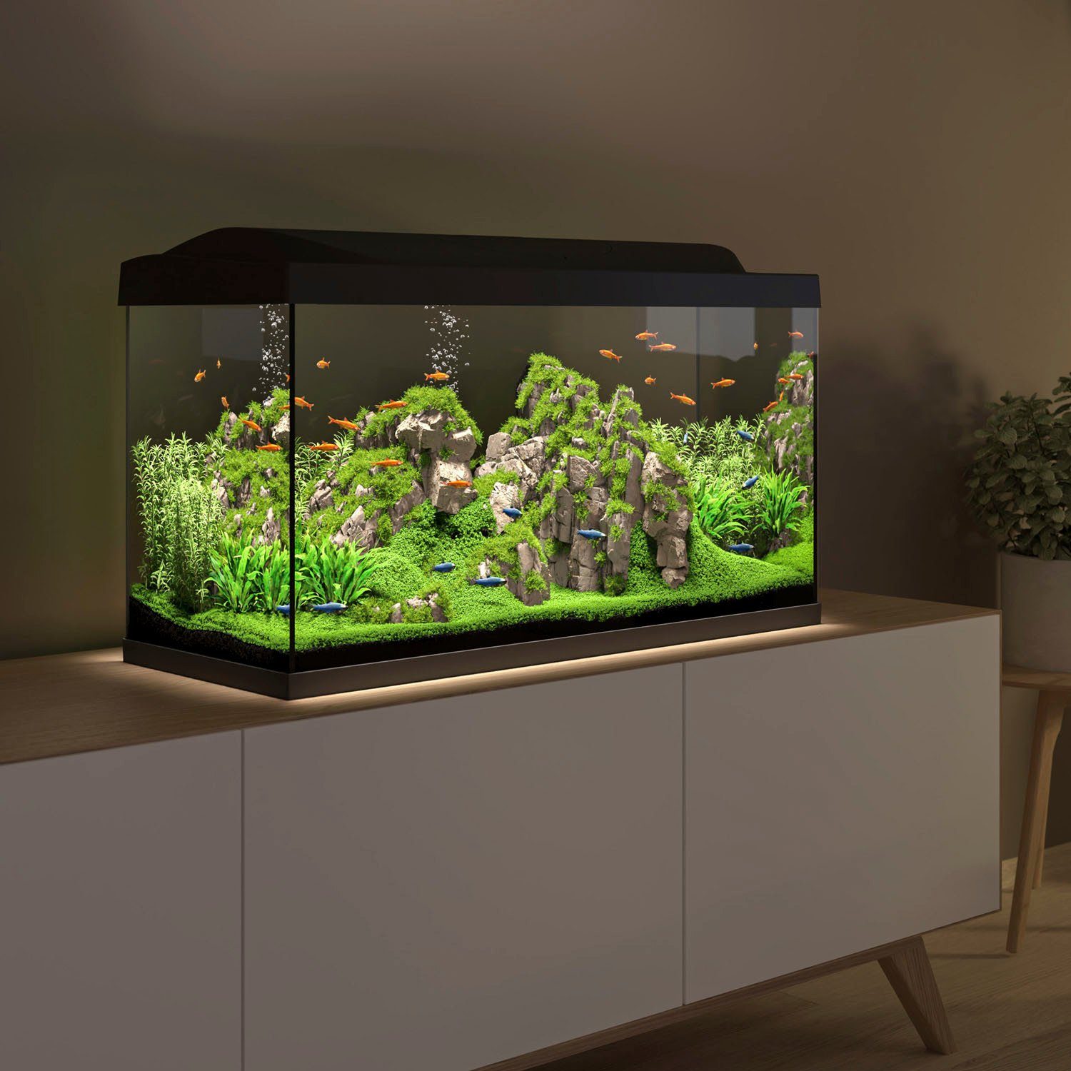 Tetra Aquarien-Set Starter Line LED, 105 l