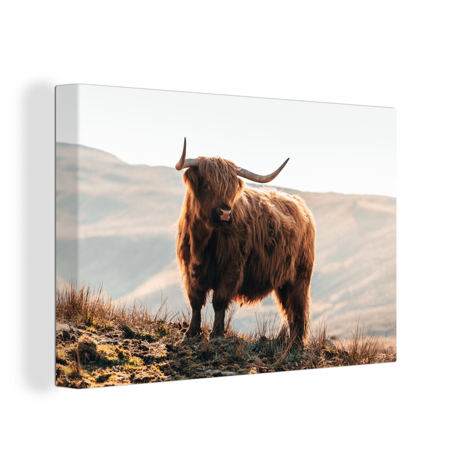 Schottische Bilder online kaufen | OTTO