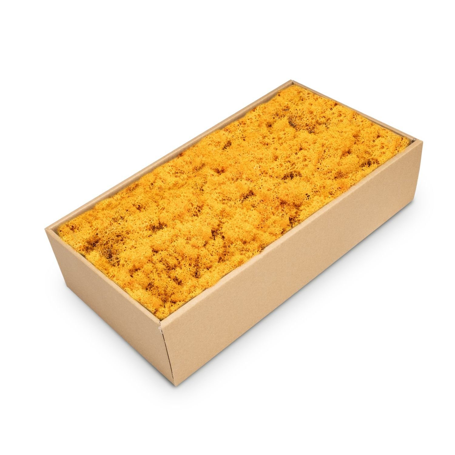 Nadeco Bastelnaturmaterial Islandmoos Orange Konserviert Verpackt Im