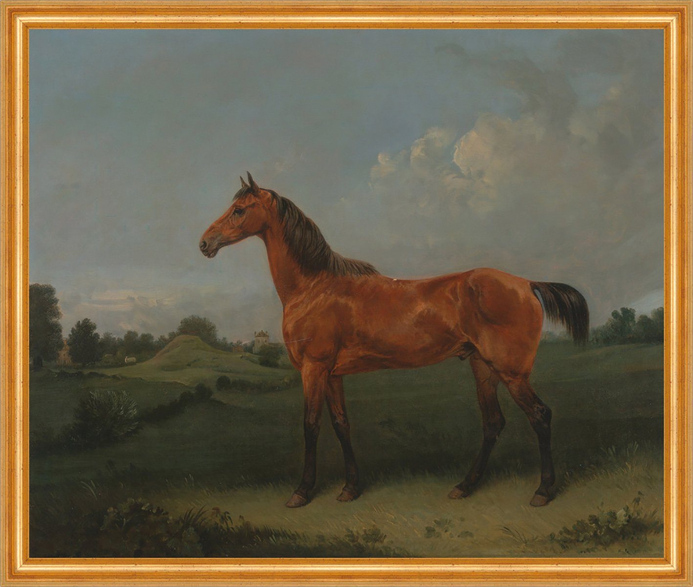 BillerAntik Kunstdruck A Bay Horse in a Field Bristow Pferde Tiere Braun Wiese Wald Feld B A1 ...