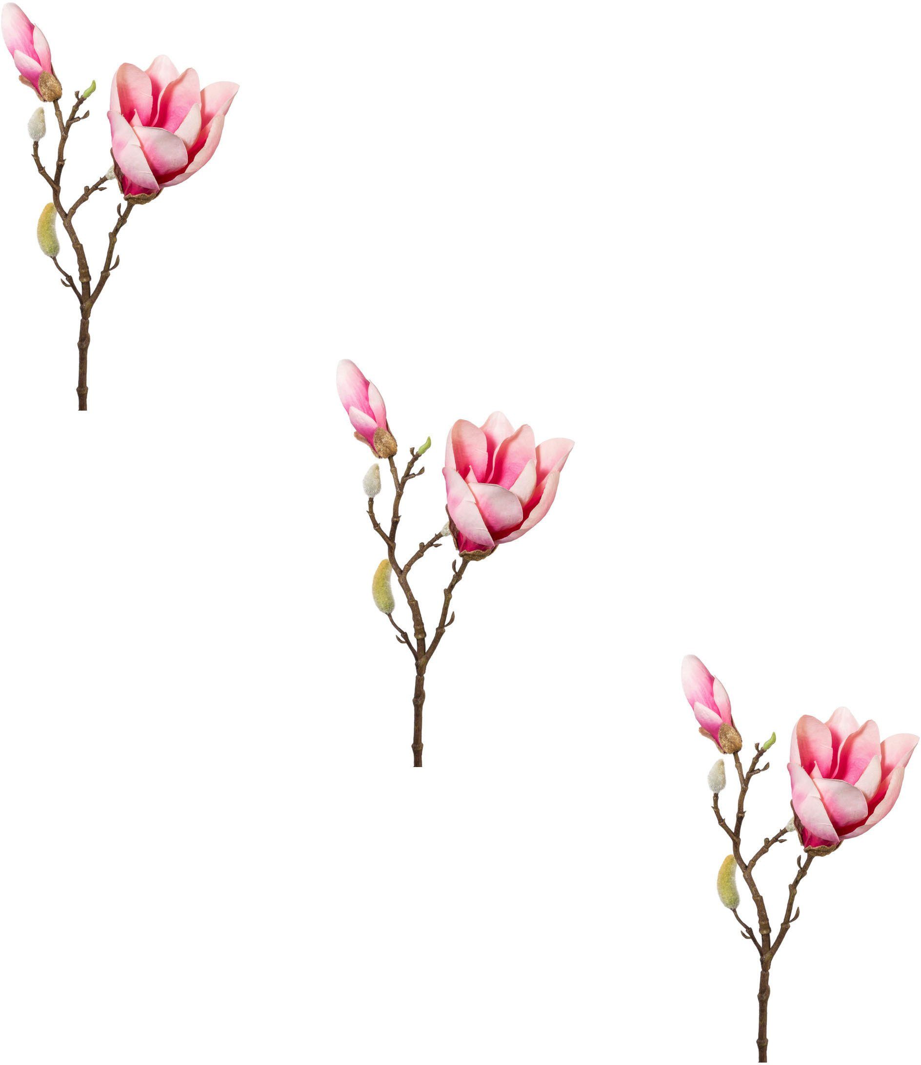 Kunstblume Magnolie Magnolie Creativ Green Höhe 43 Cm
