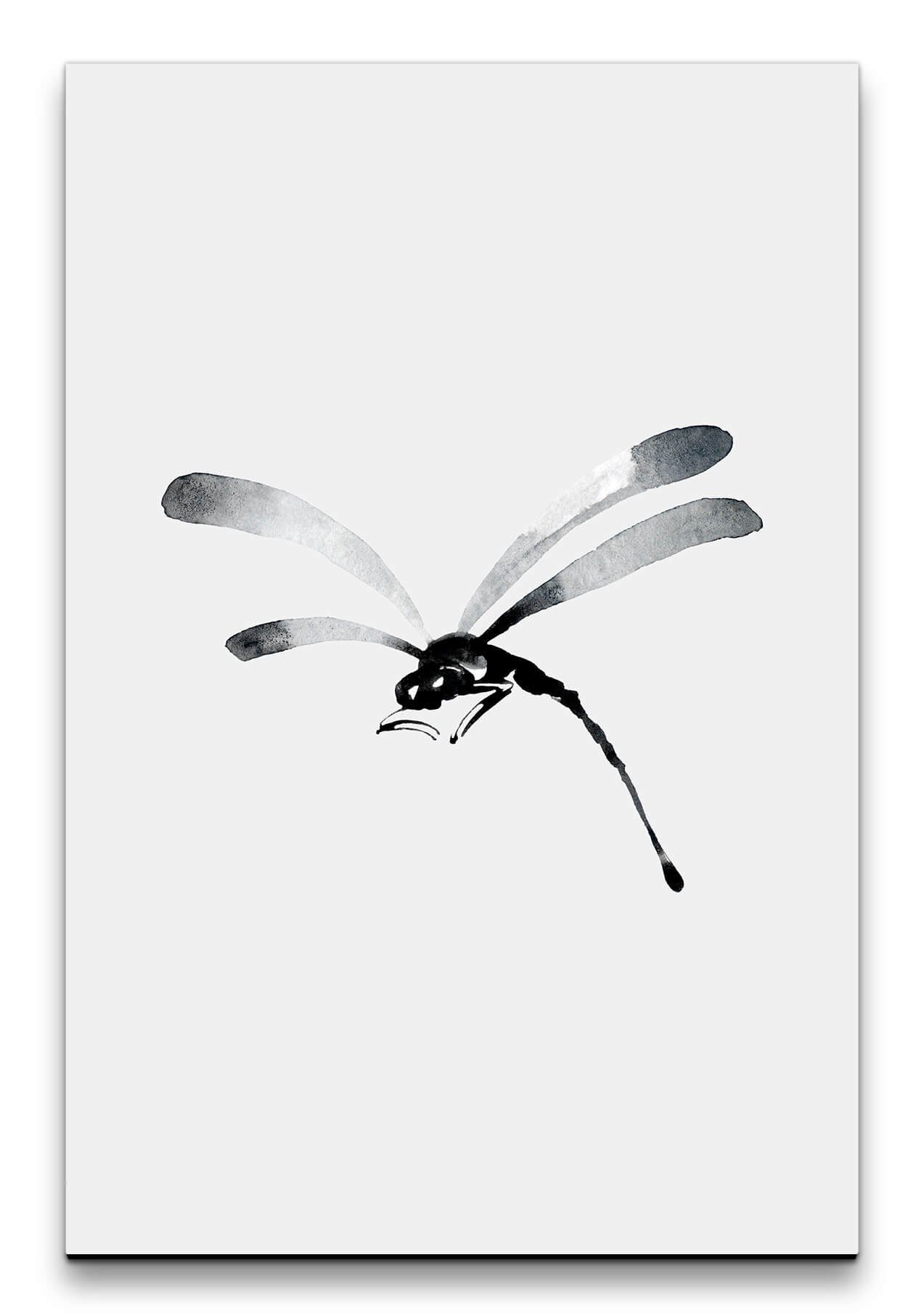 Sinus Art Leinwandbild Libelle Abstrakt Grautöne Wasserfarben Modern