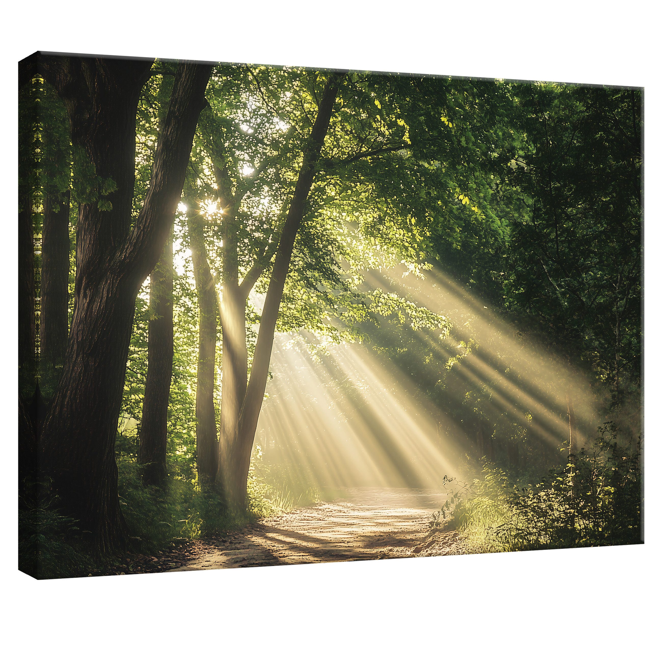 Wallarena Leinwandbild Wald Sonnenwald Natur Wandbilder XXL Wand Deko Bilder Modern, Natur ...