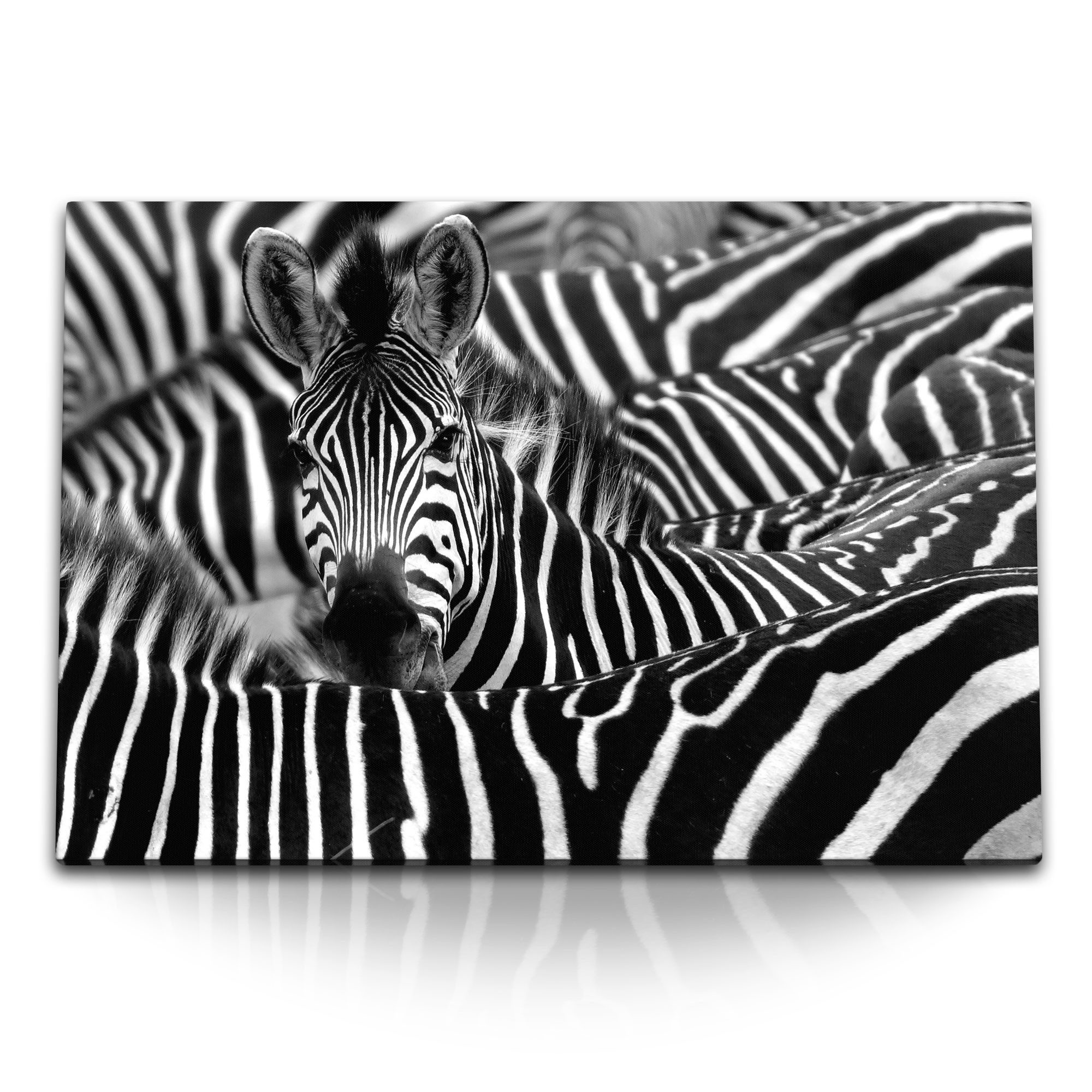 Sinus Art Leinwandbild 120x80cm Wandbild Auf Leinwand Afrika
