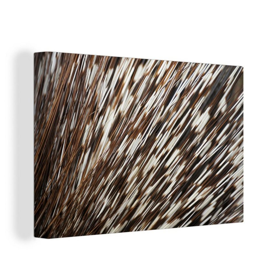 Onemillioncanvasses® Leinwandbild Nahaufnahme Der Stacheln 1 St