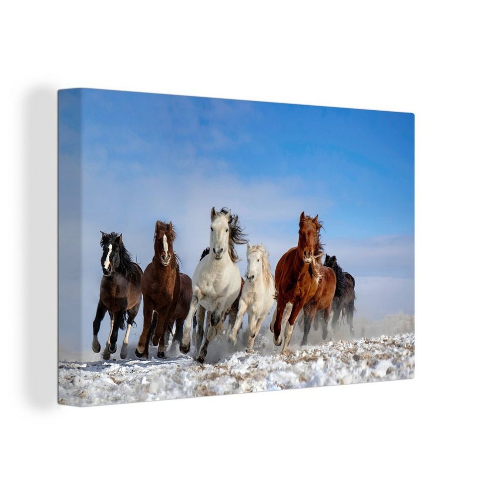Onemillioncanvasses® Leinwandbild Galoppierende Pferde In Der