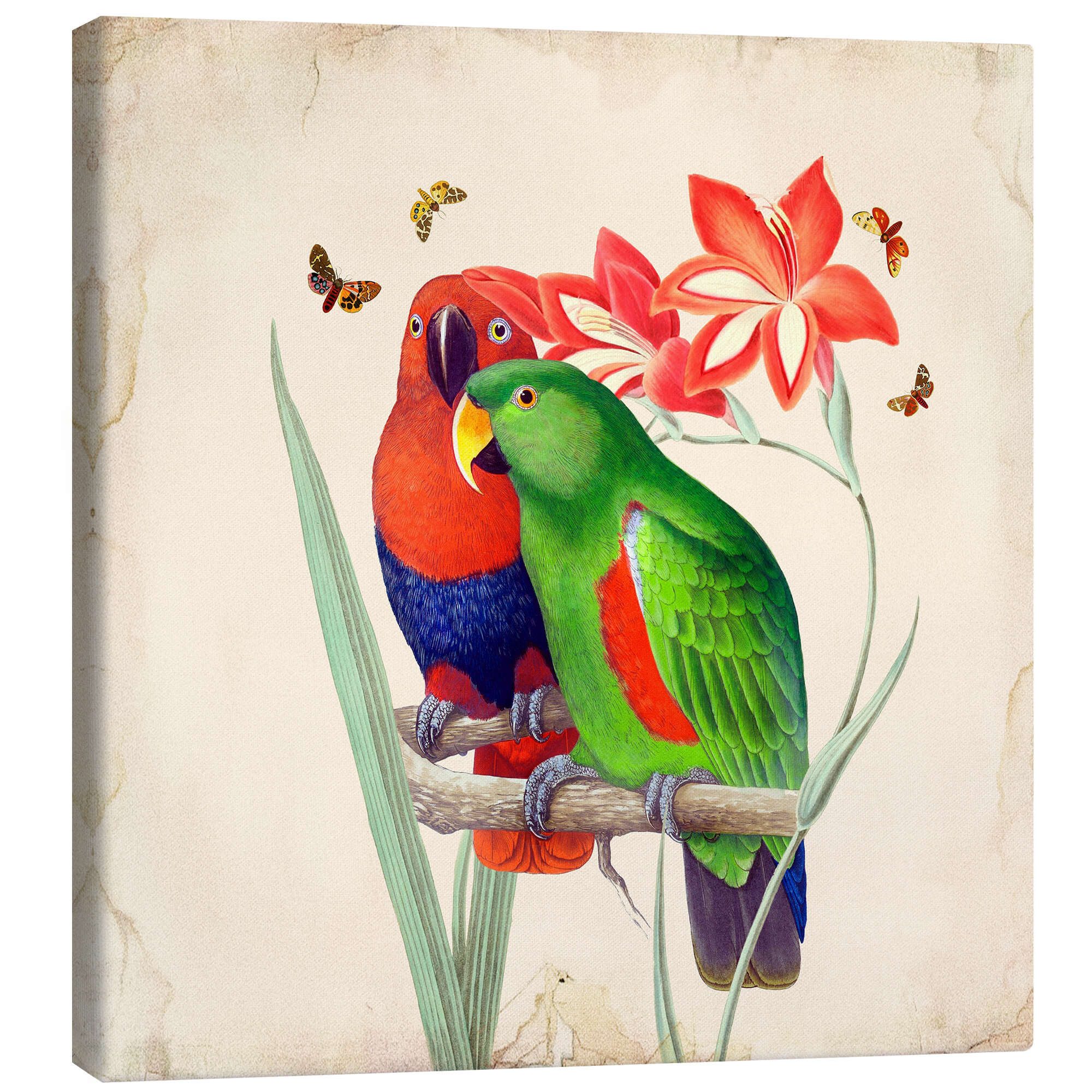 Posterlounge Leinwandbild Mandy Reinmuth Exotische Papageien I