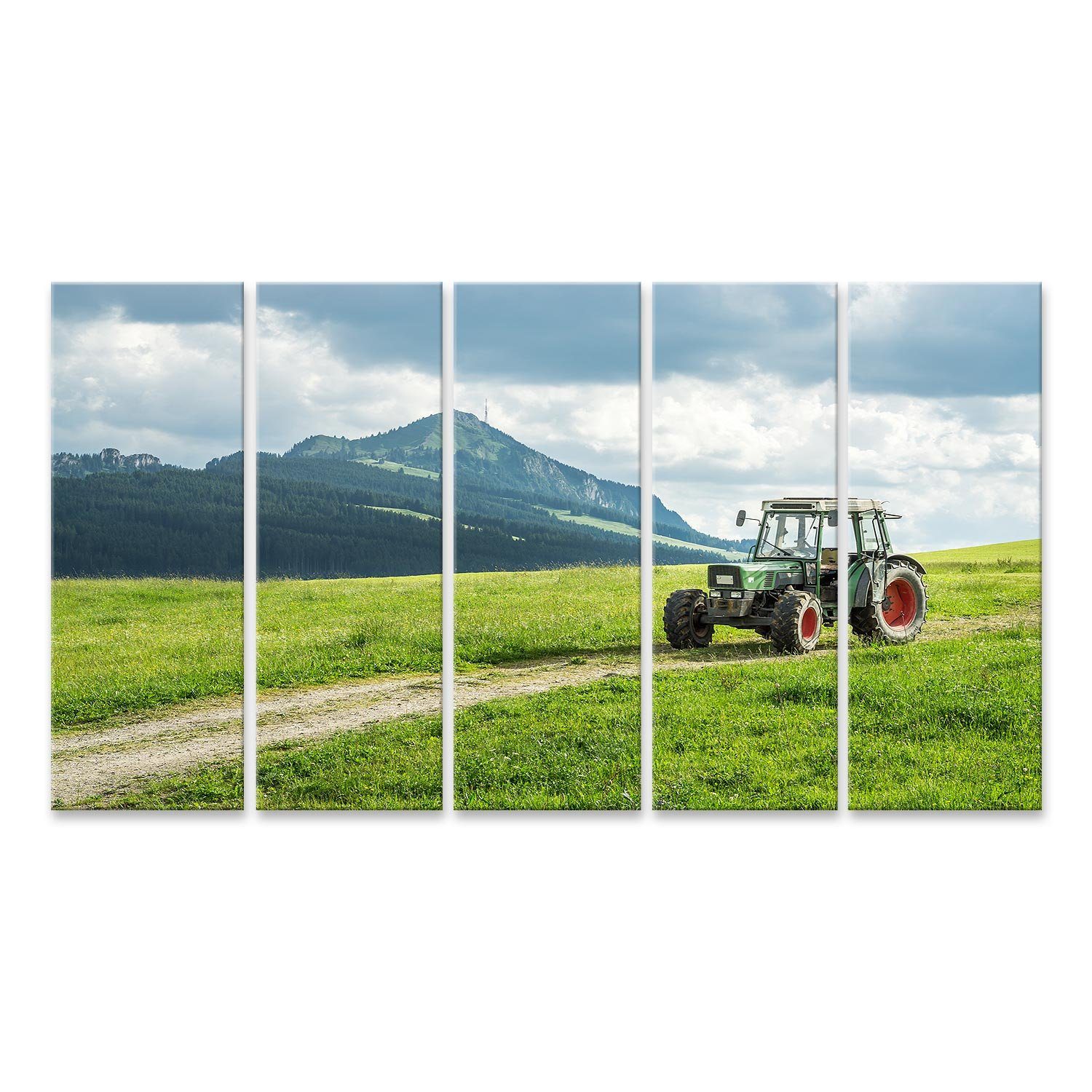 islandburner Leinwandbild Bild auf Leinwand Alter Traktor auf einer Wiese mit frischem Gras. Sch